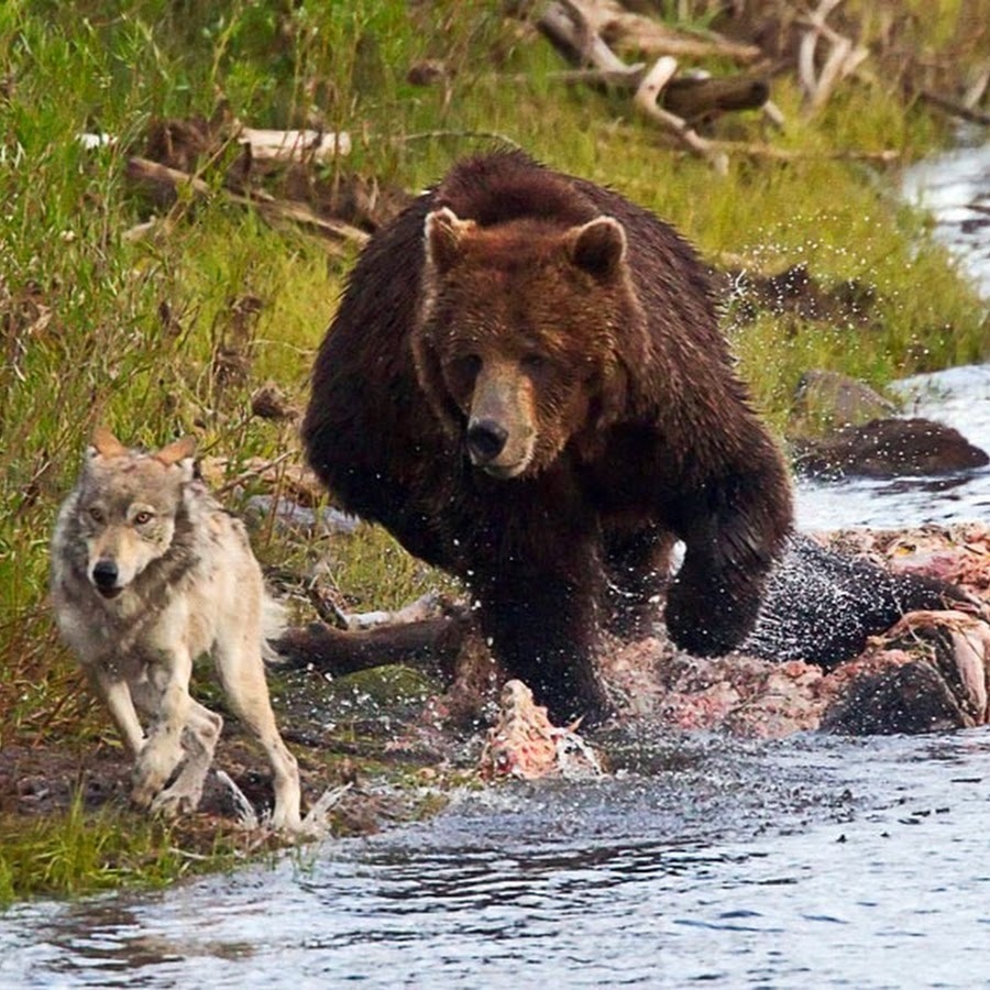 [П**ДЕЦ ВАЖНО] Нововведения для комфортного нахождения на ресурсе | Пикабу