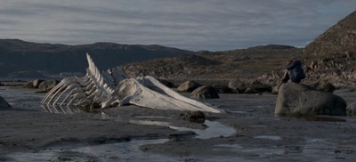 Тот же кит 35 лет спустя | Пикабу