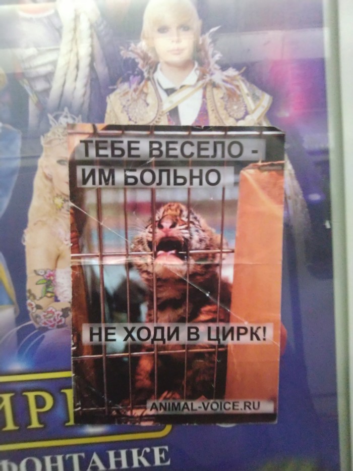 Правильные стикеры | Пикабу