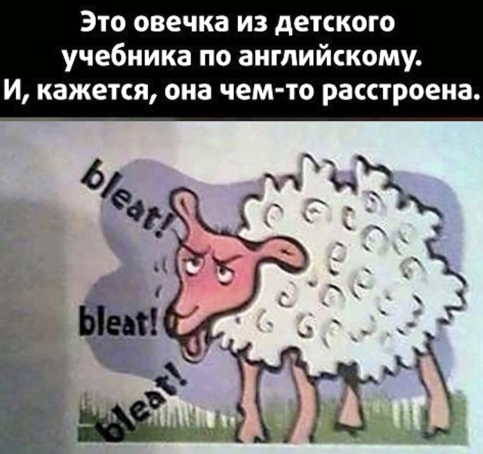 Bleat! | Пикабу