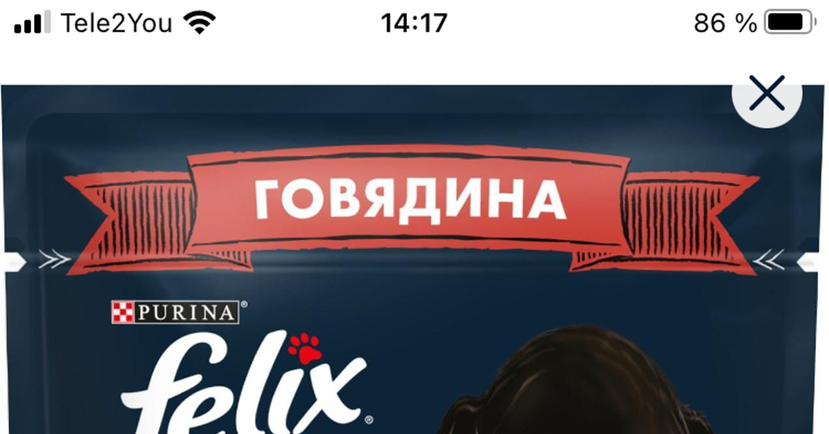 «Про План», это «Феликс» под прикрытием! | Пикабу