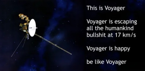 Это Voyager | Пикабу
