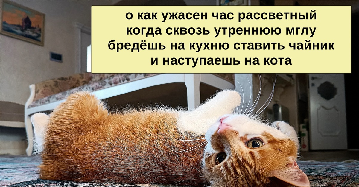 Смотрим под ноги | Пикабу