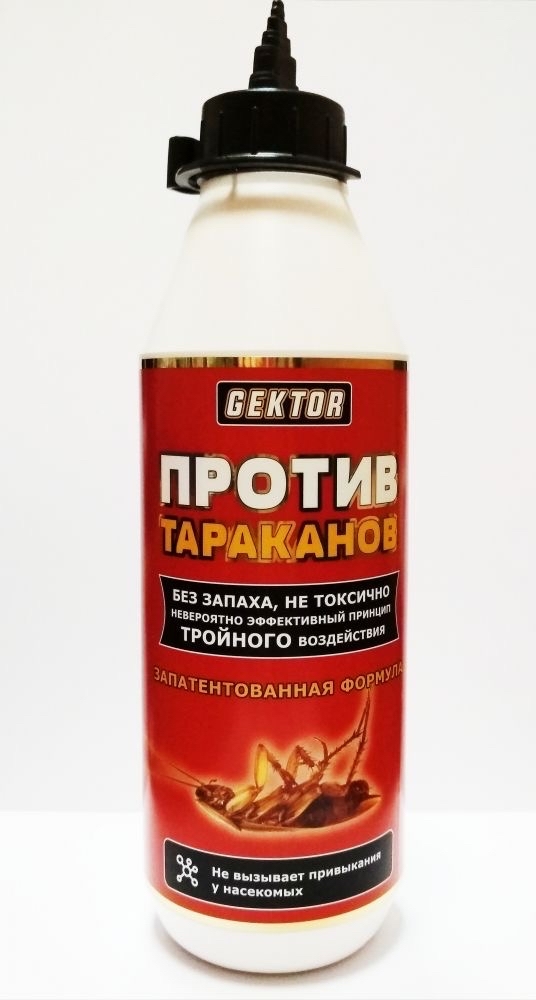 Как защититься от тараканов и вывести их | Пикабу