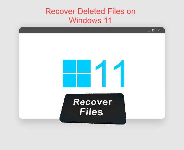 How to Recover Deleted Files on Windows 11 | Пикабу