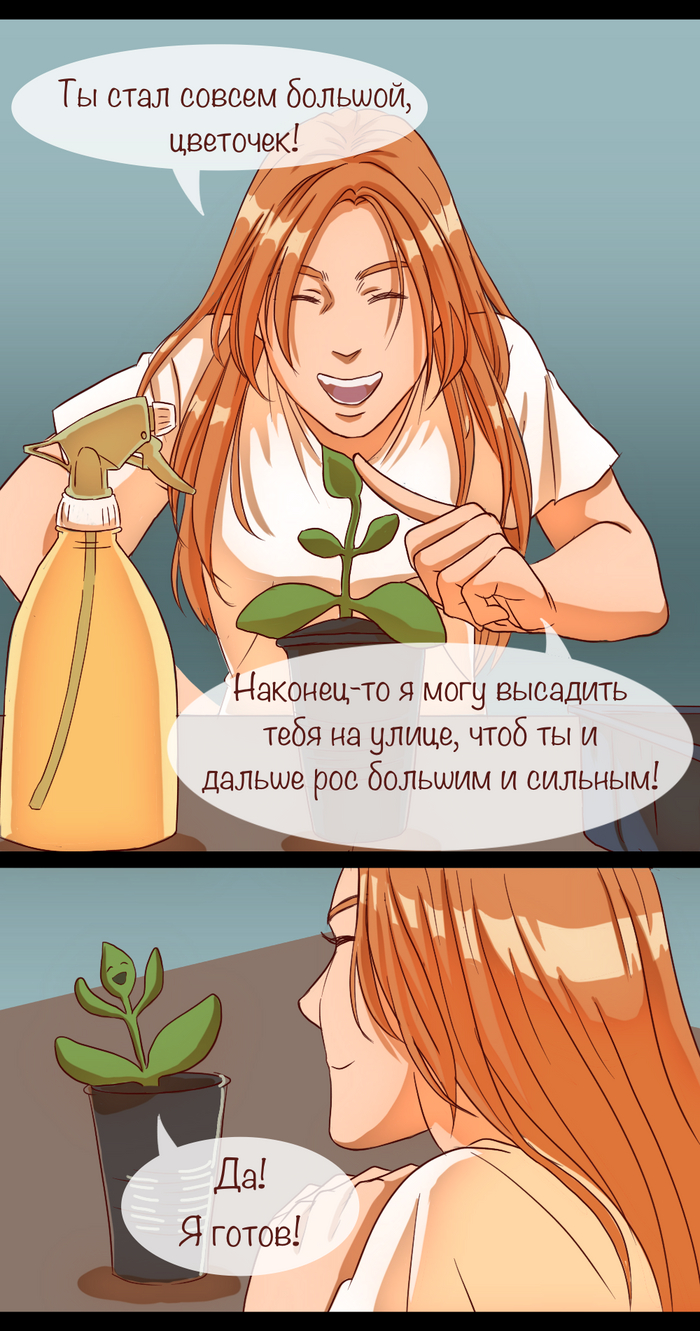 Цветок | Пикабу