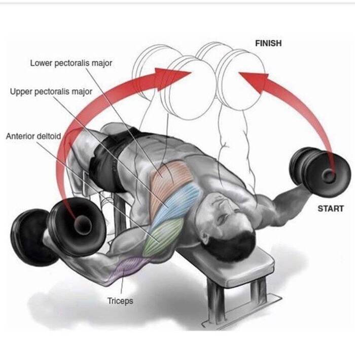 Упражнения на грудные мышцы Пикабу