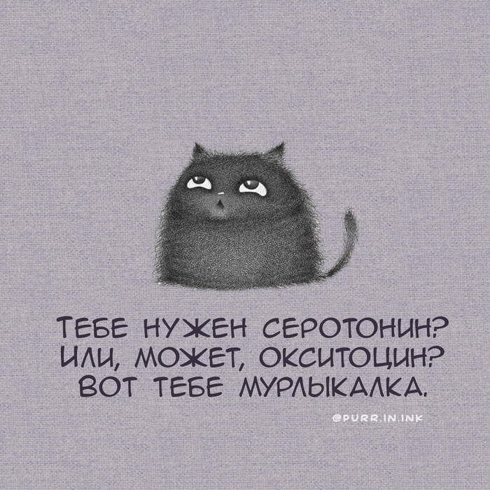 Котики от Purr.in.ink #5 | Пикабу