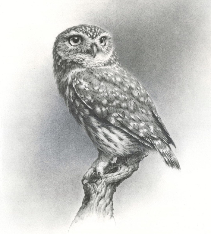 Vanessa Foley | Пикабу