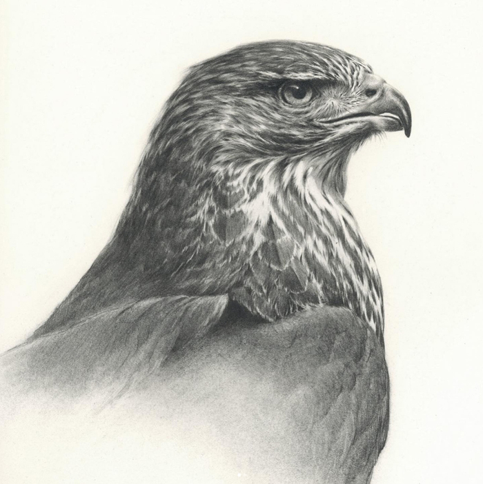 Vanessa Foley | Пикабу