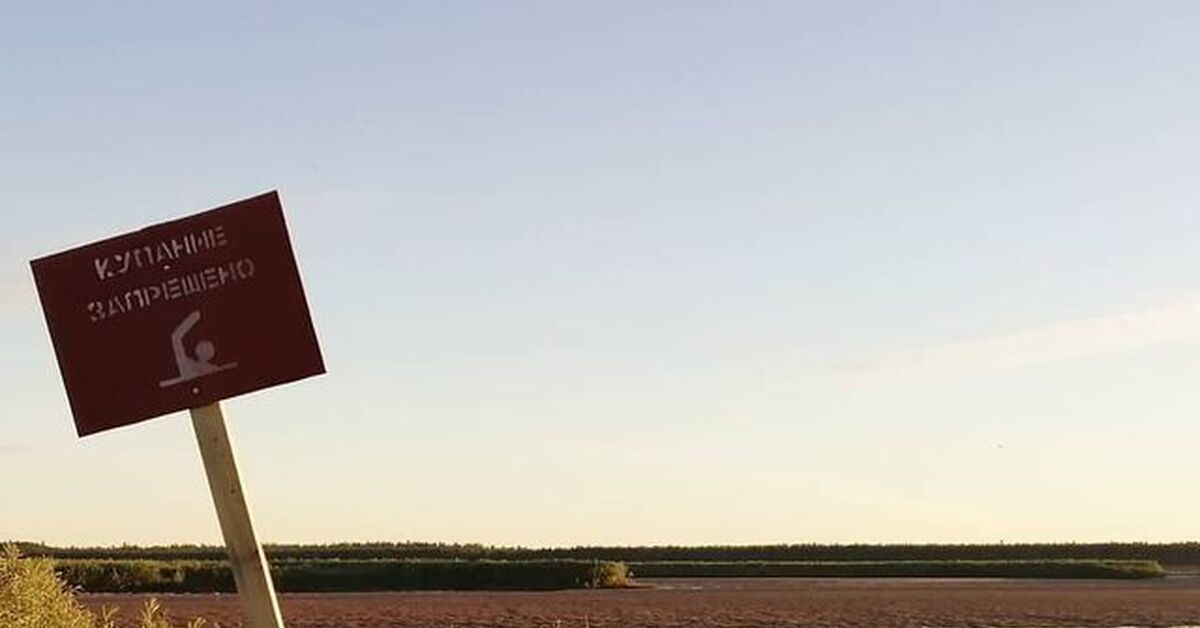 Купание запрещено Пикабу