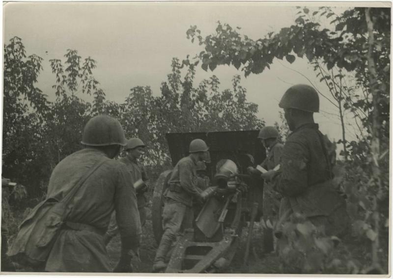 Великая Отечественная Война 1941-1945 №69 - 05.02.19 08:14 | Пикабу