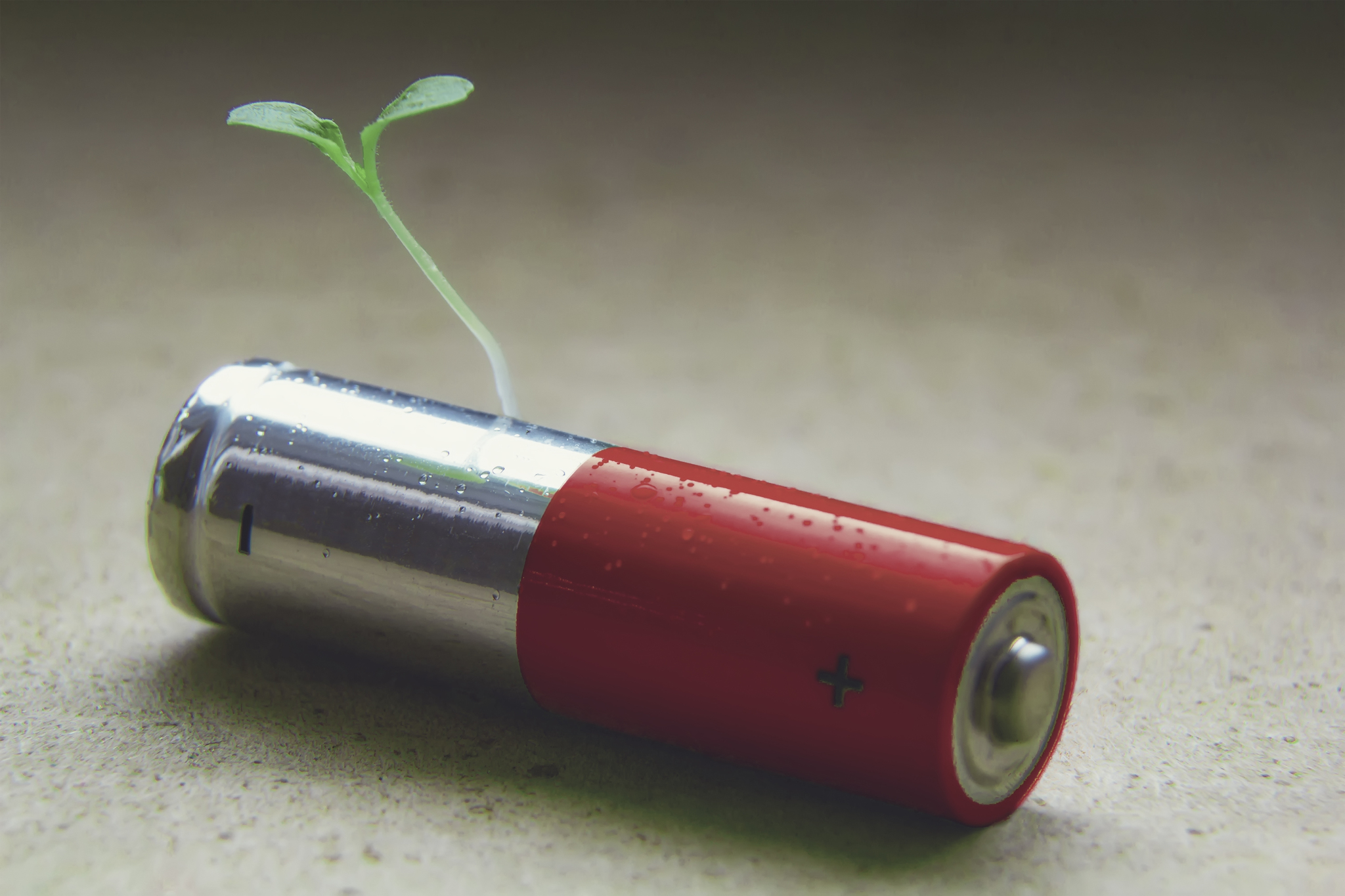 Про раздельный сбор мусора | Пикабу