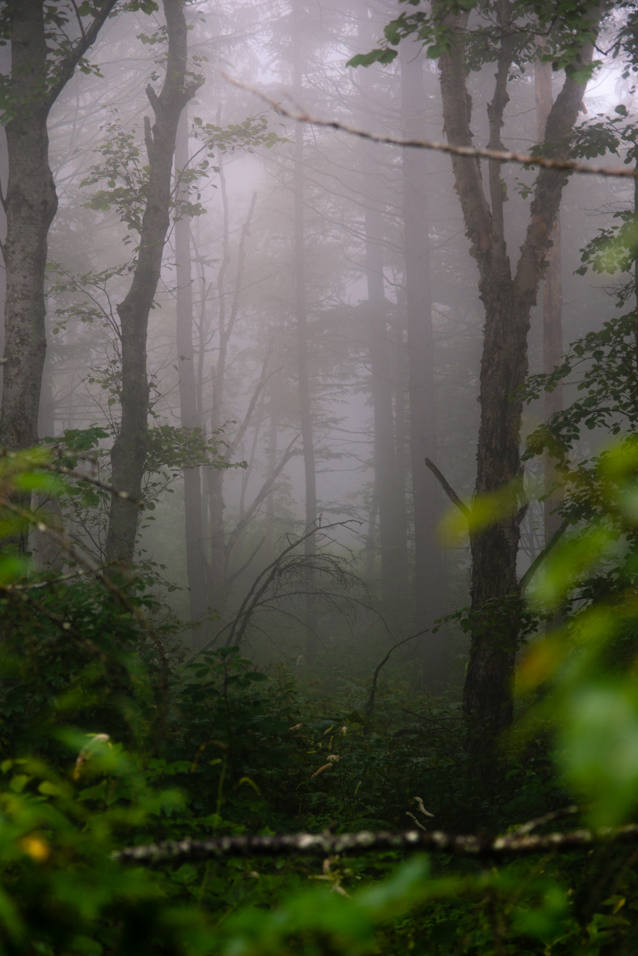 Аномалия ч2 | Пикабу