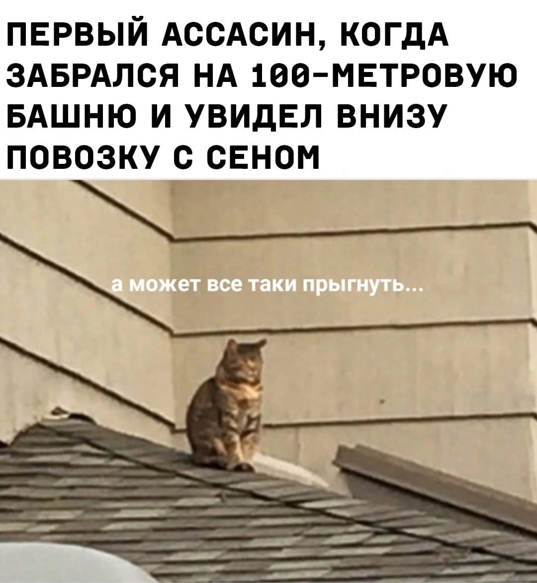 Ассасин | Пикабу