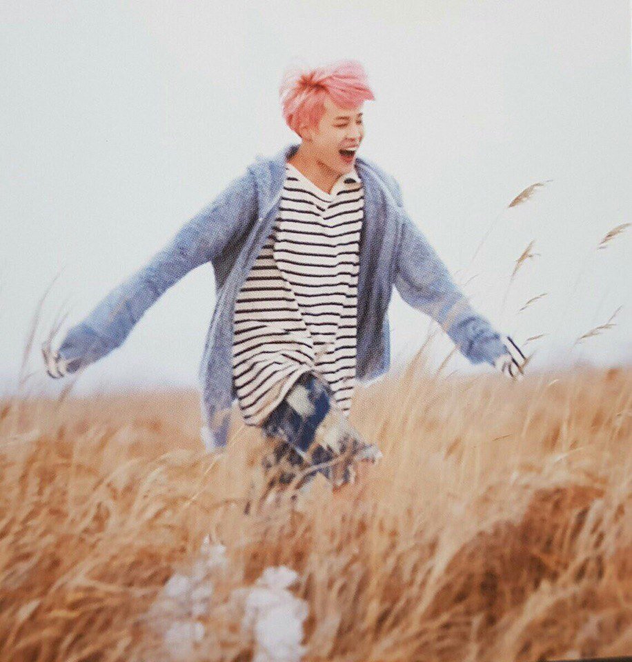 "Spring Day" by BTS - pikabu.monster