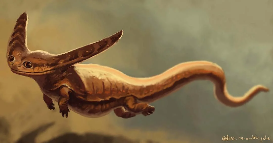 Hammerhead Salamander Diplocaulus