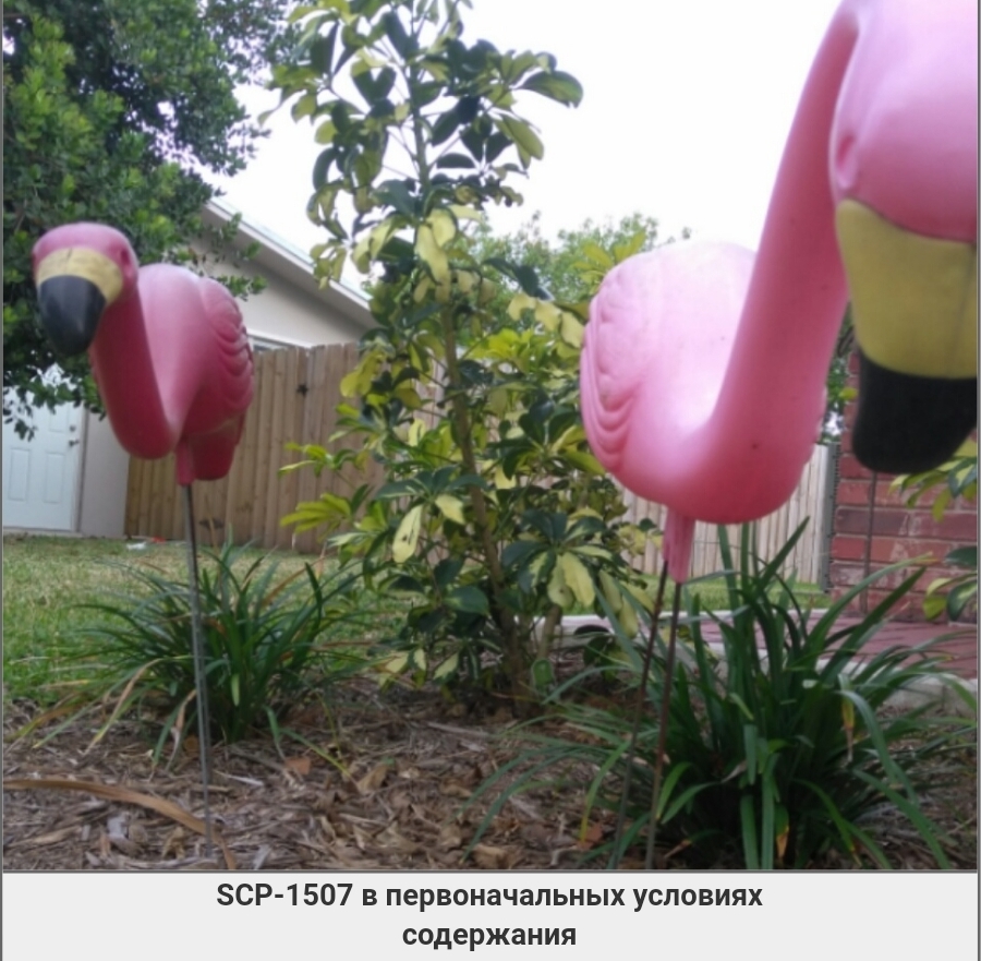 SCP-1507 в Cyberpunk 2077? | Пикабу