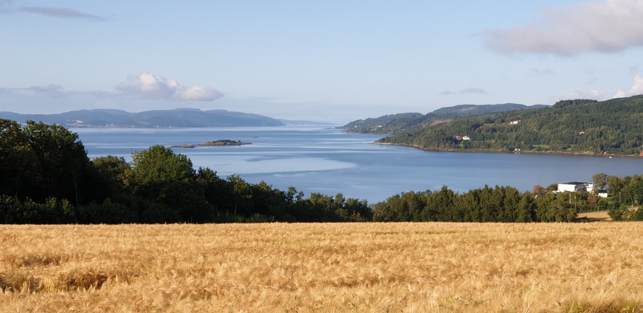 Времена года | Пикабу
