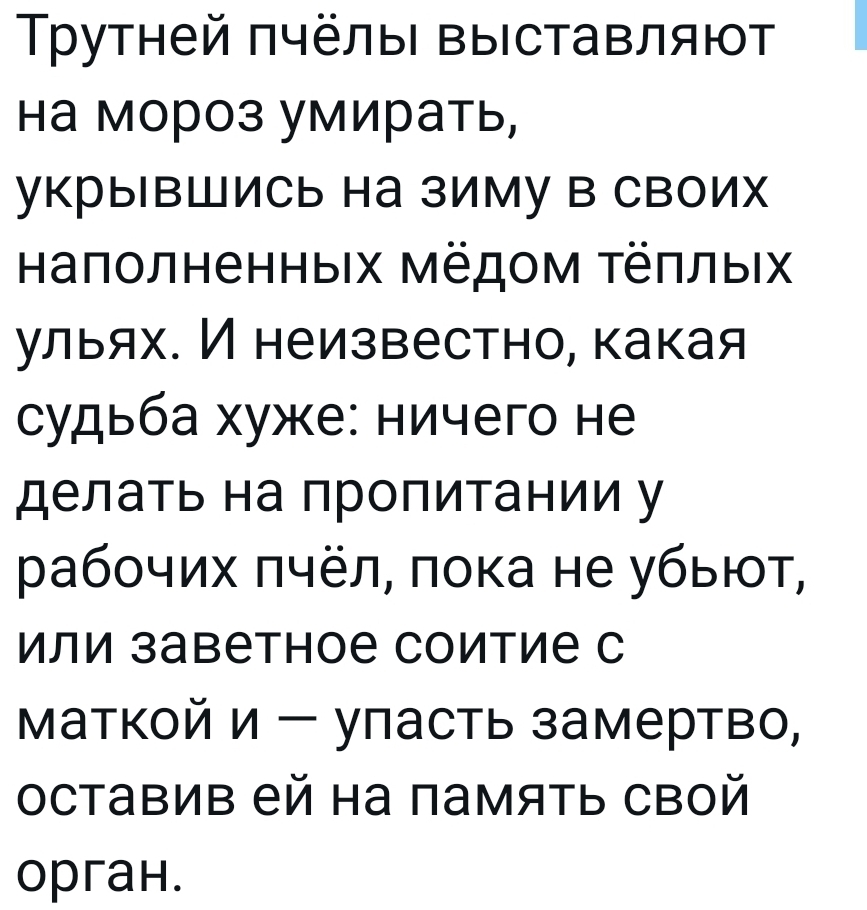 О размножении в природе | Пикабу
