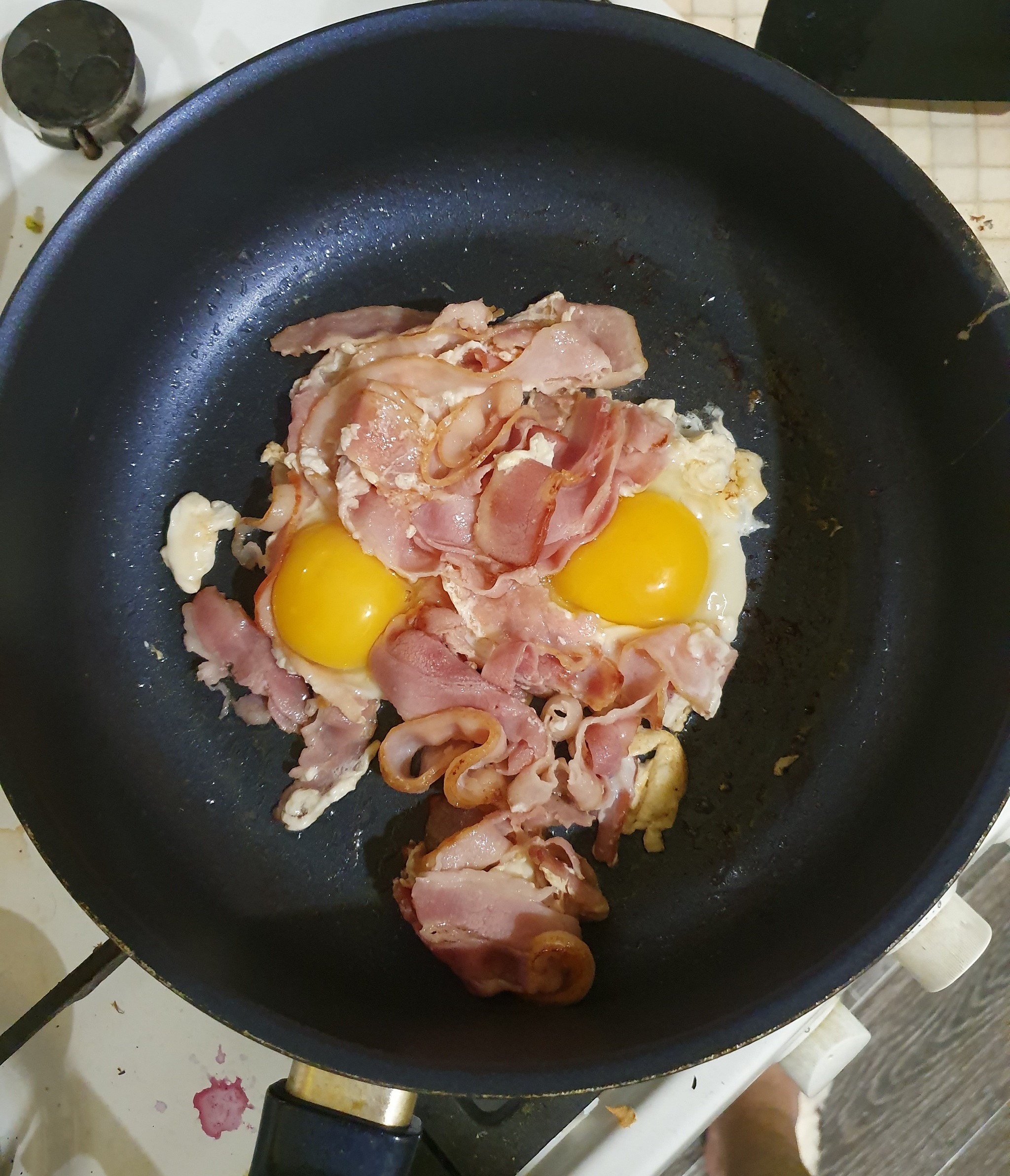 Angry breakfast | Пикабу