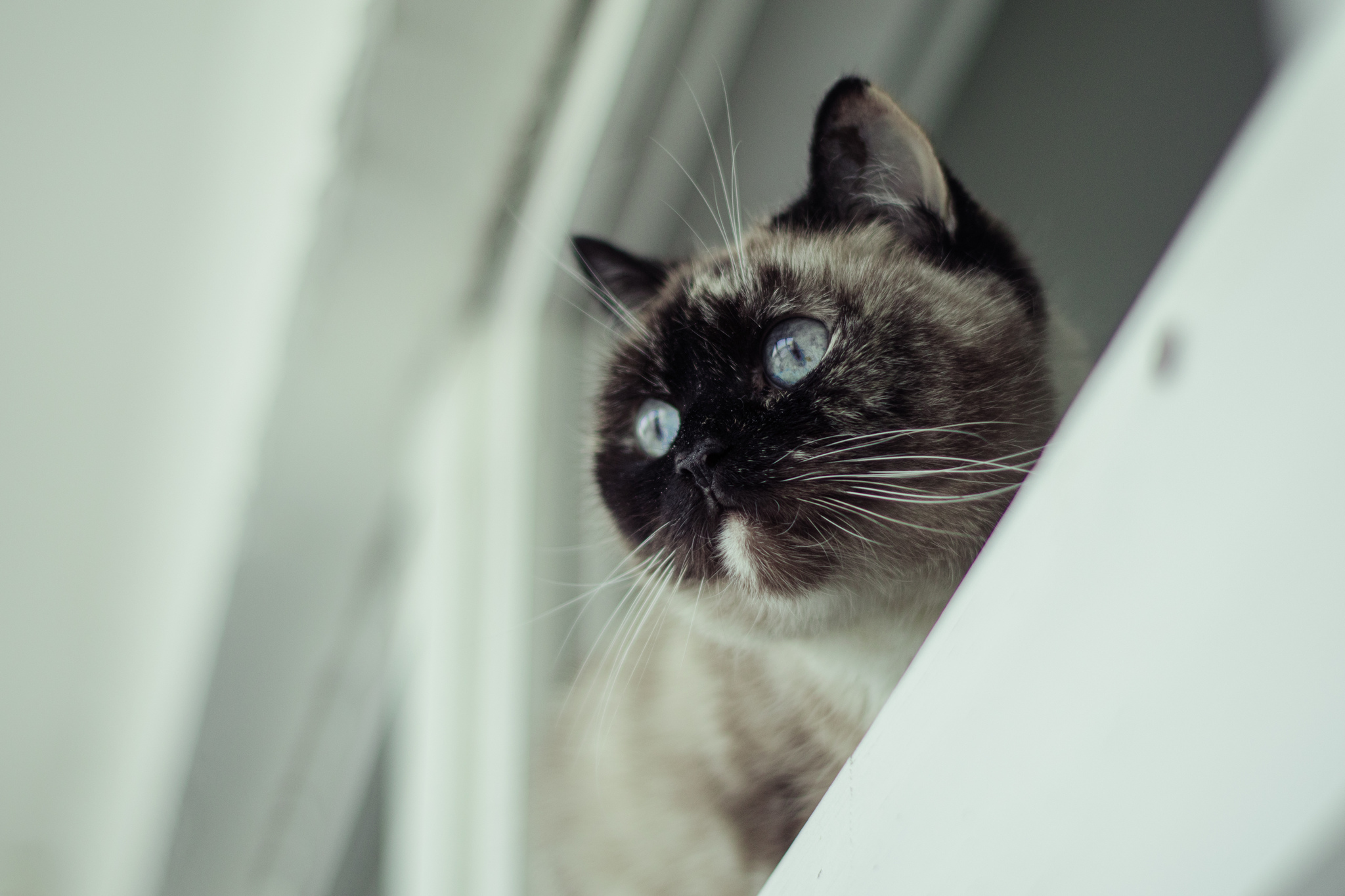 Мира | Пикабу