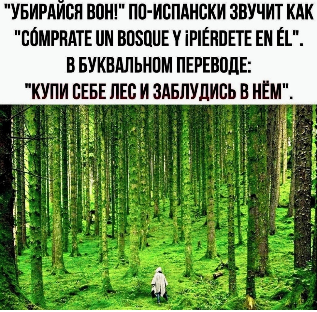 Я б за комплимент приняла | Пикабу