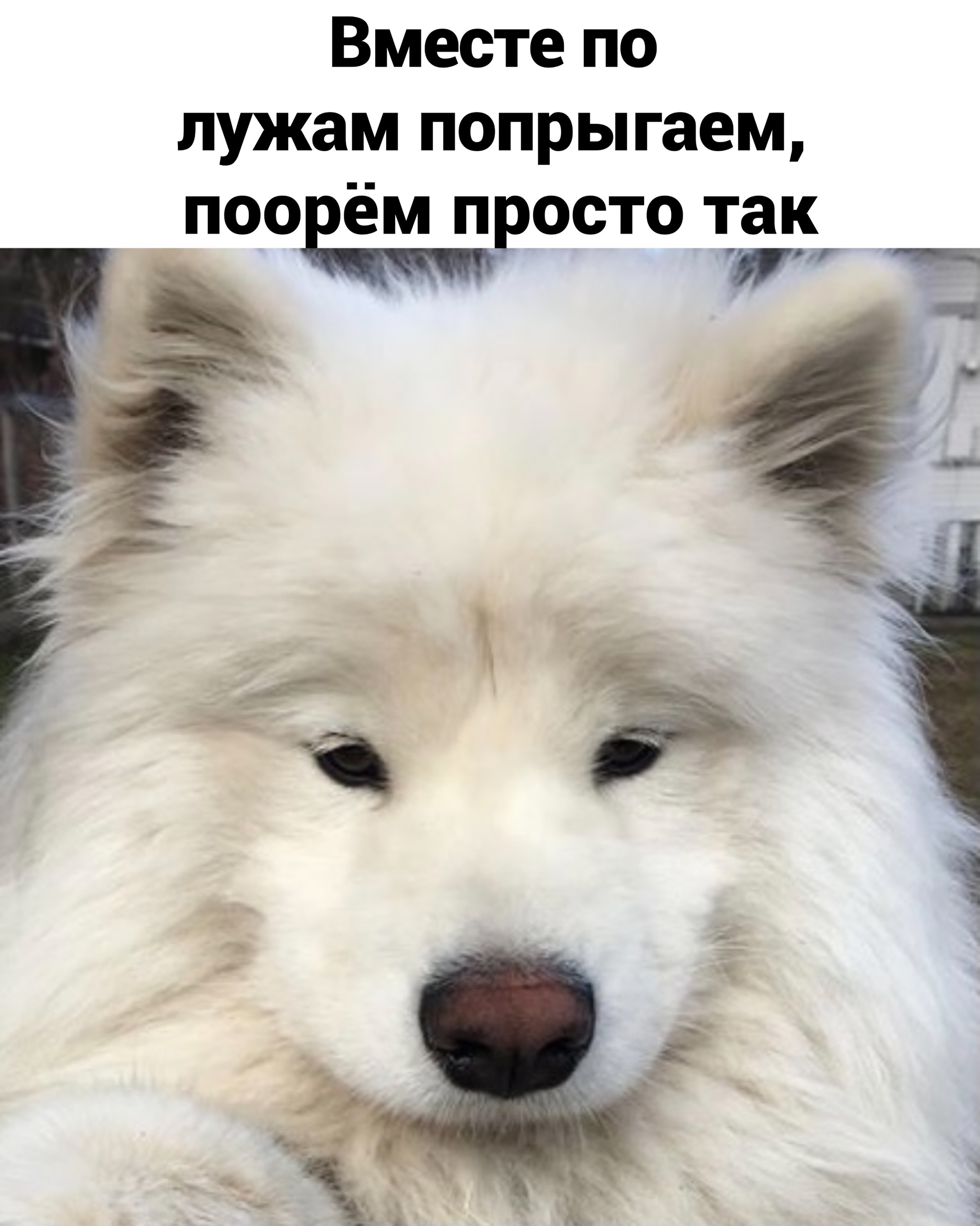Заманчивое предложение | Пикабу