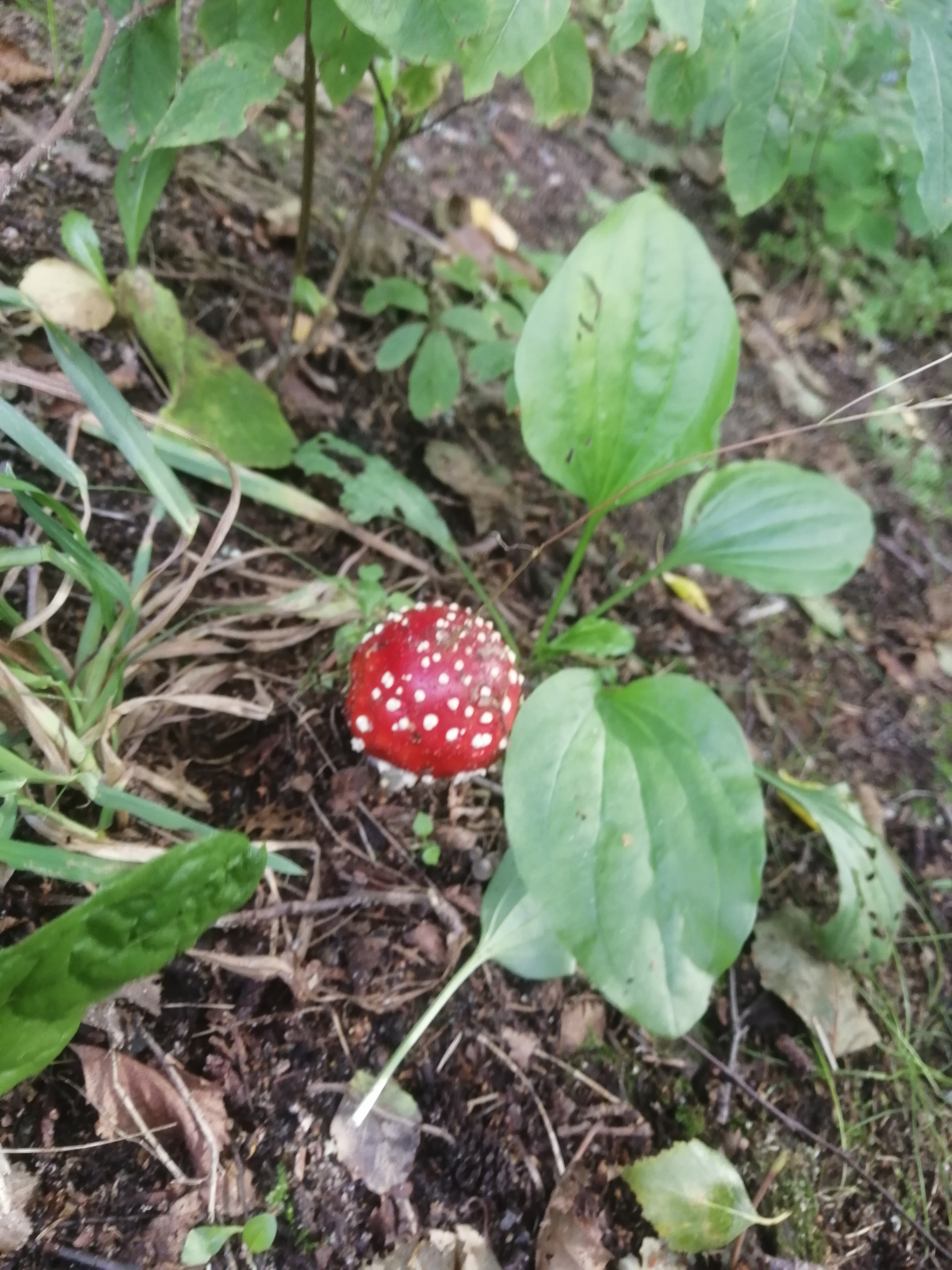 На недельку до второго... | Пикабу