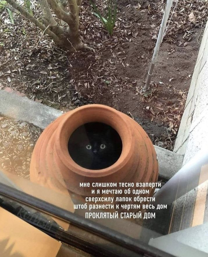 В заросшем парке... стоит большой кувшин | Пикабу