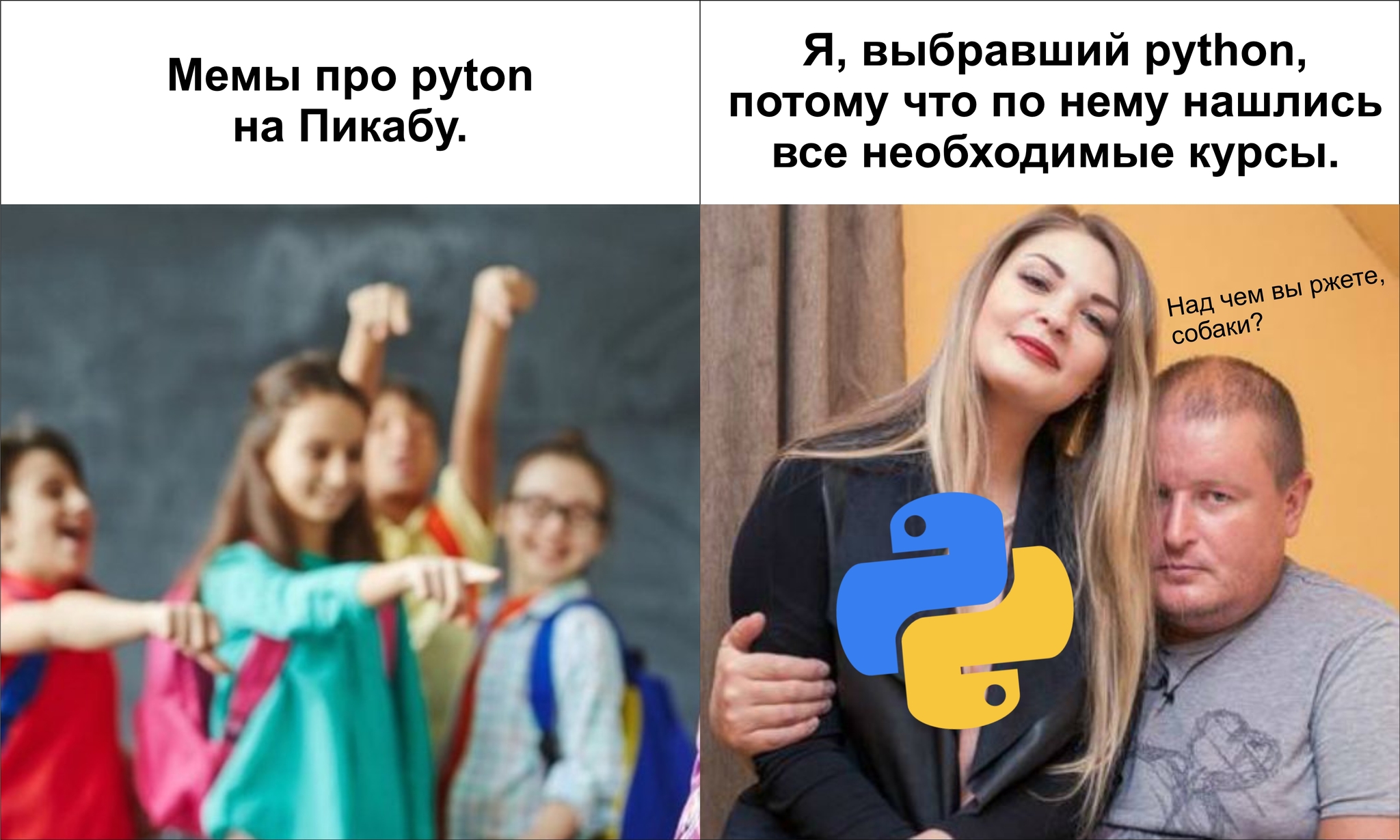 Когда видишь очередной мем про Python на пикабу Пикабу