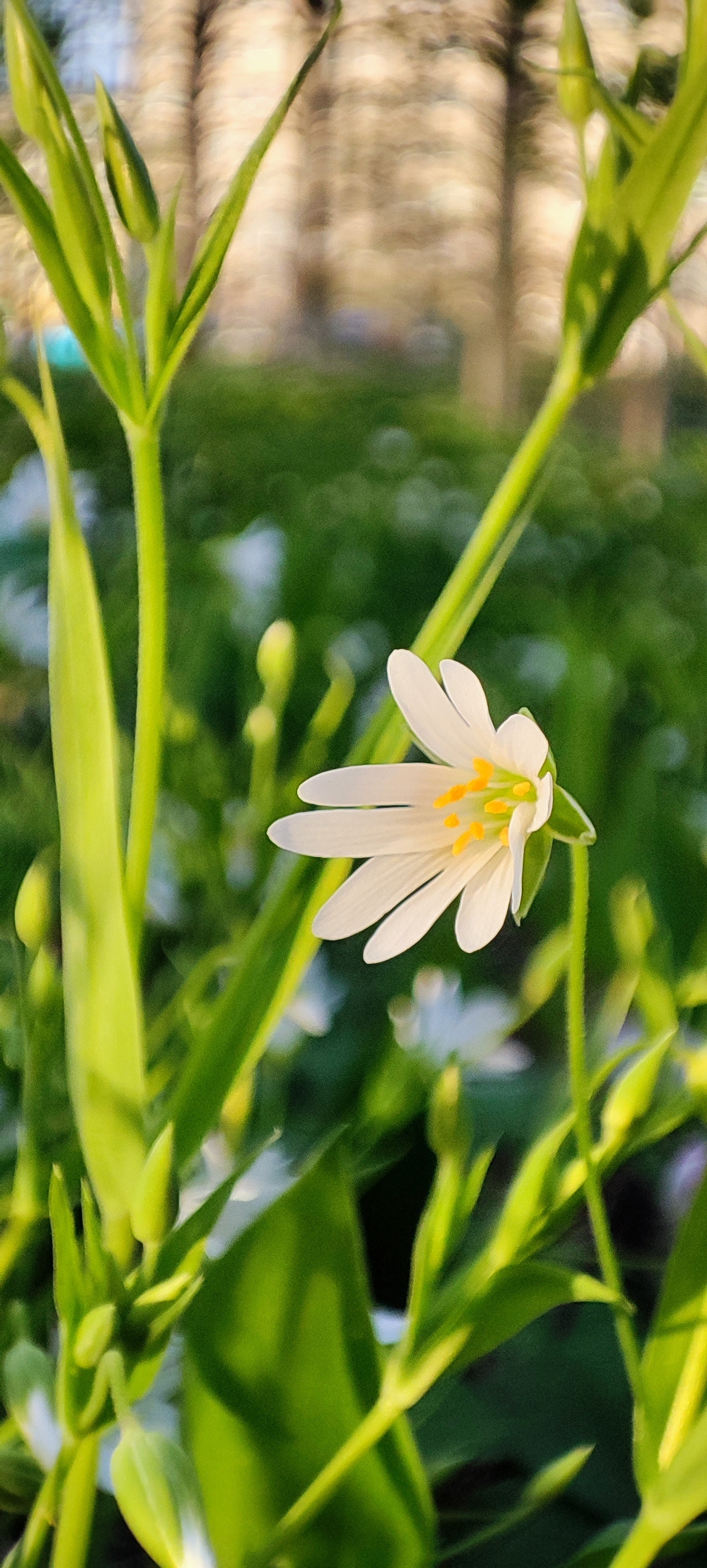 Лето уже близко | Пикабу