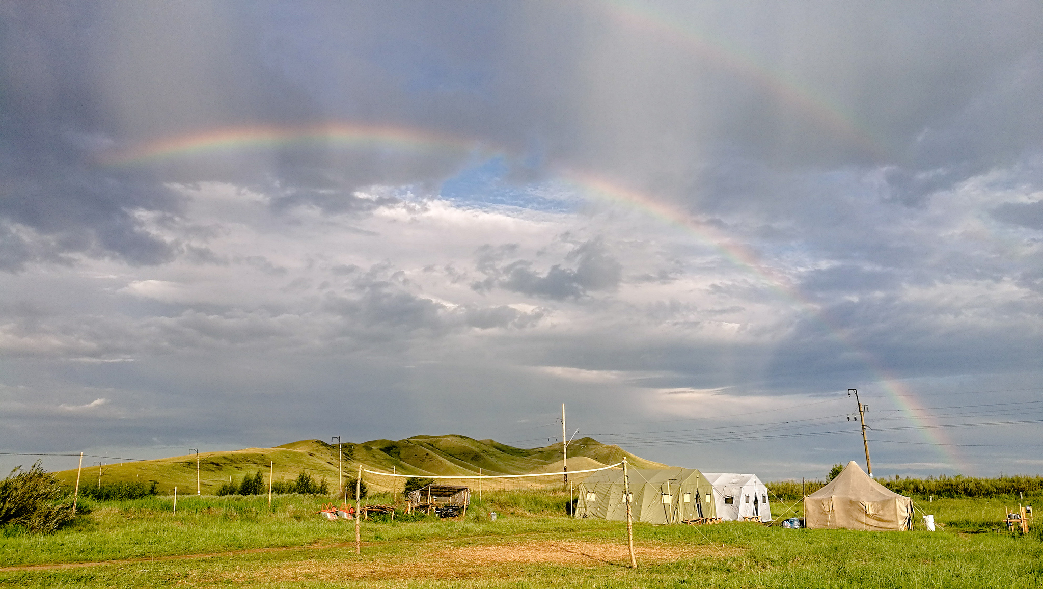 Двойная радость | Пикабу
