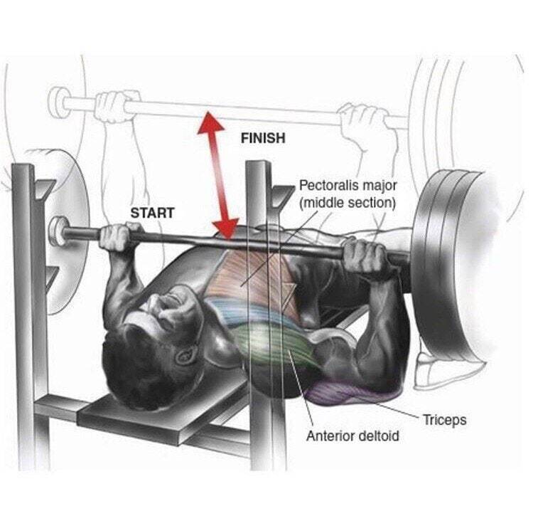Упражнения на грудные мышцы Пикабу