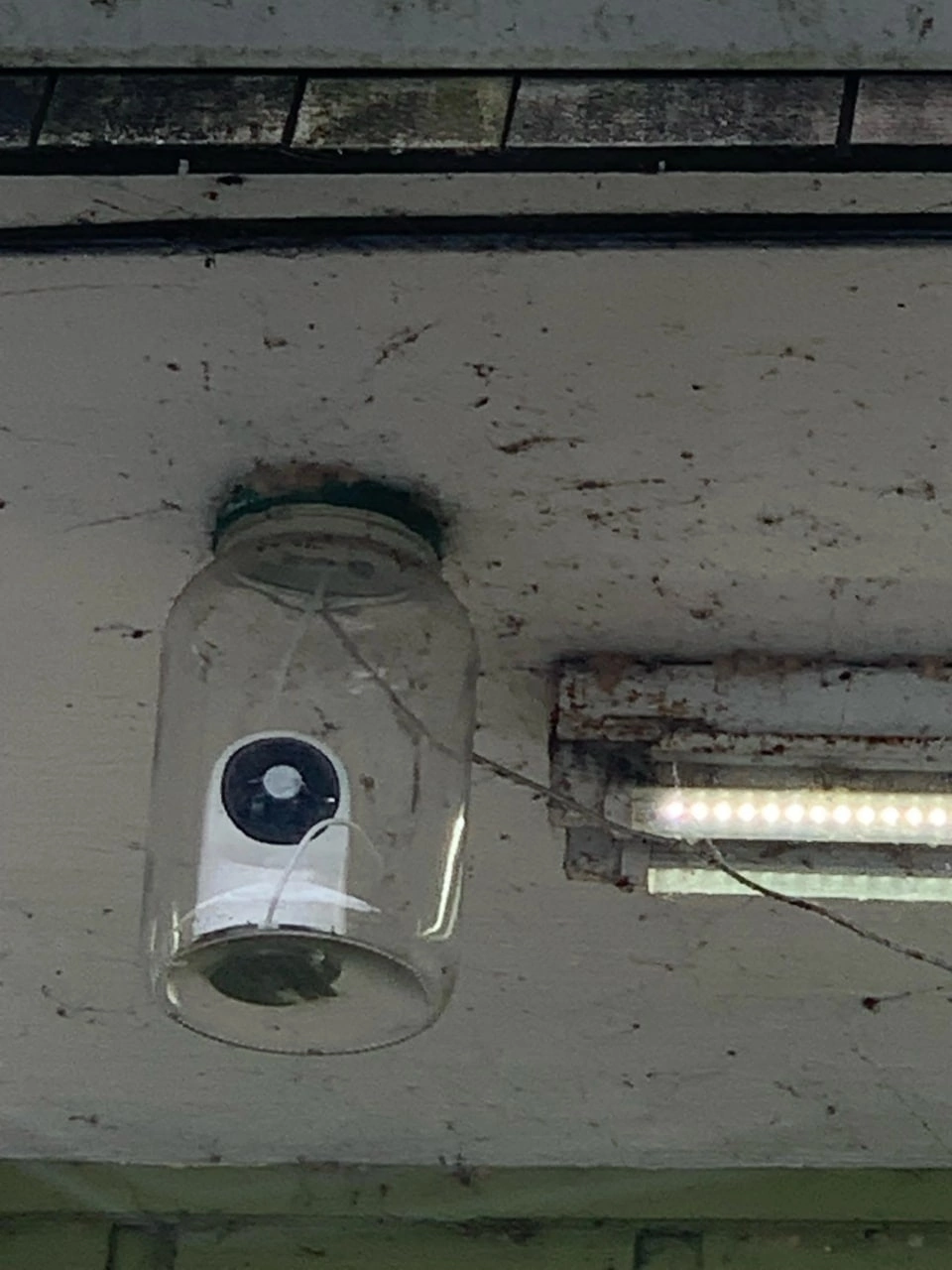 Security camera IP68 | Пикабу