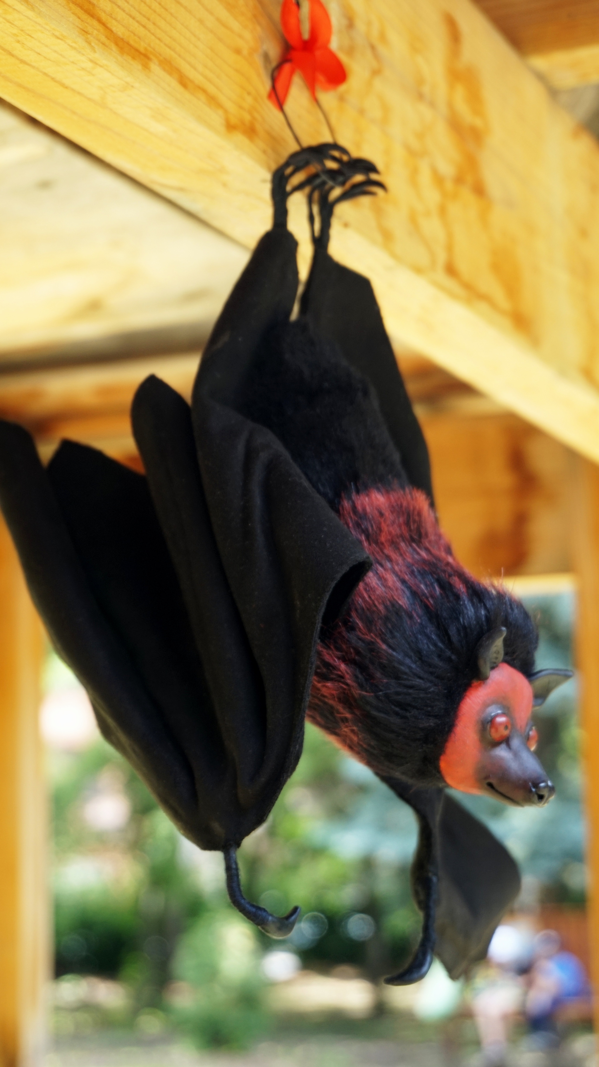 Игрушка реалистичная летучая лисица | Пикабу