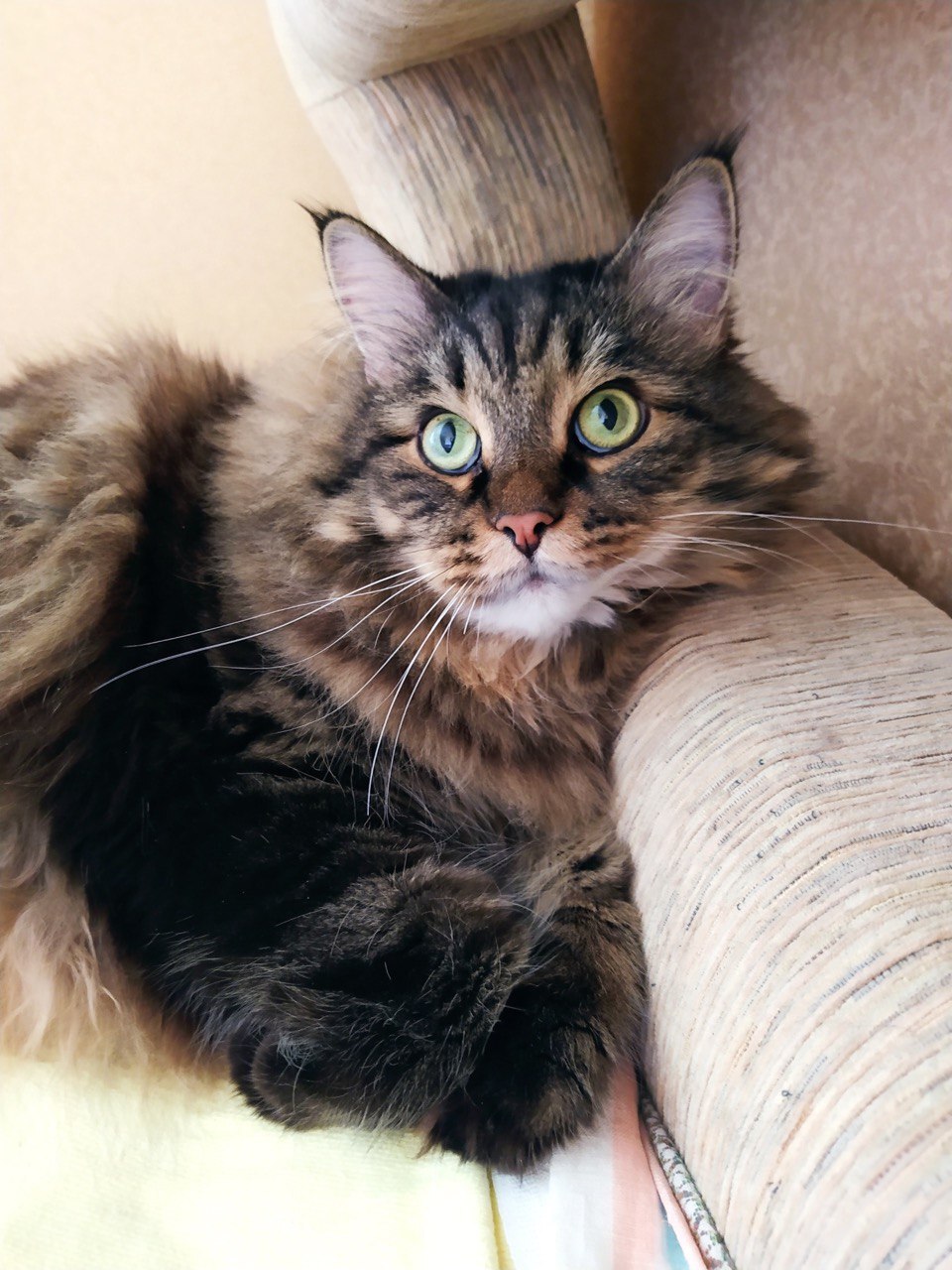 Posts with tag Python, page 52 - pikabu.monster