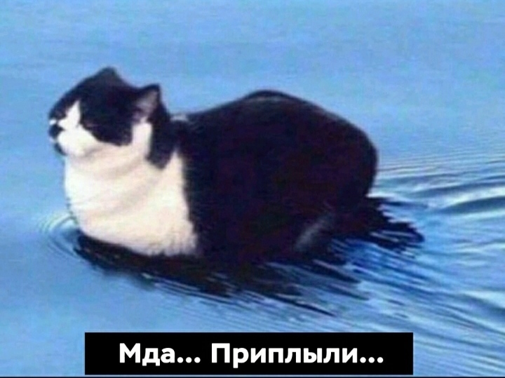 Немного о ремонте мультиварок Redmond | Пикабу